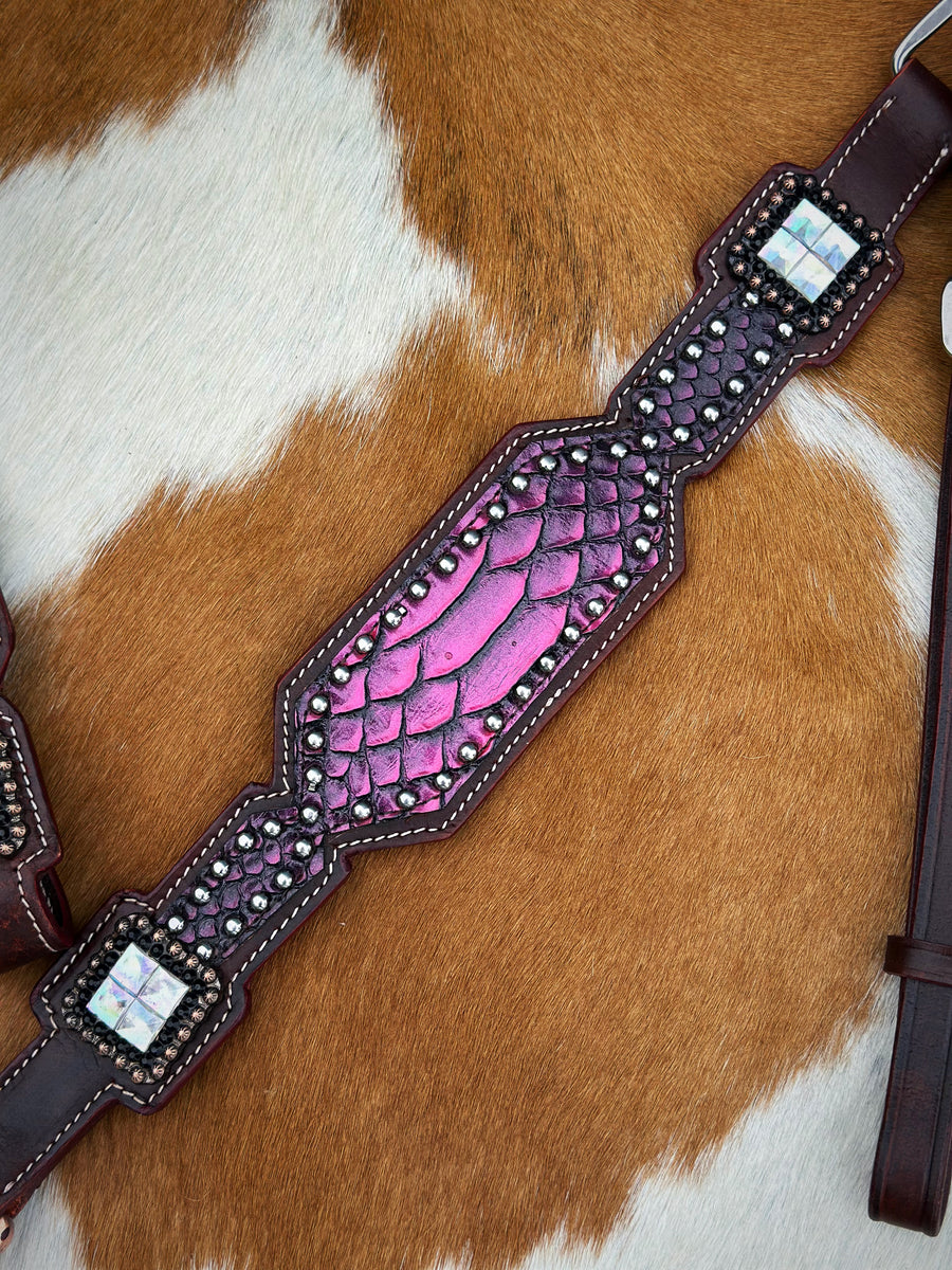 Plum Ombré Dragon Tack set – Twisted T Tack
