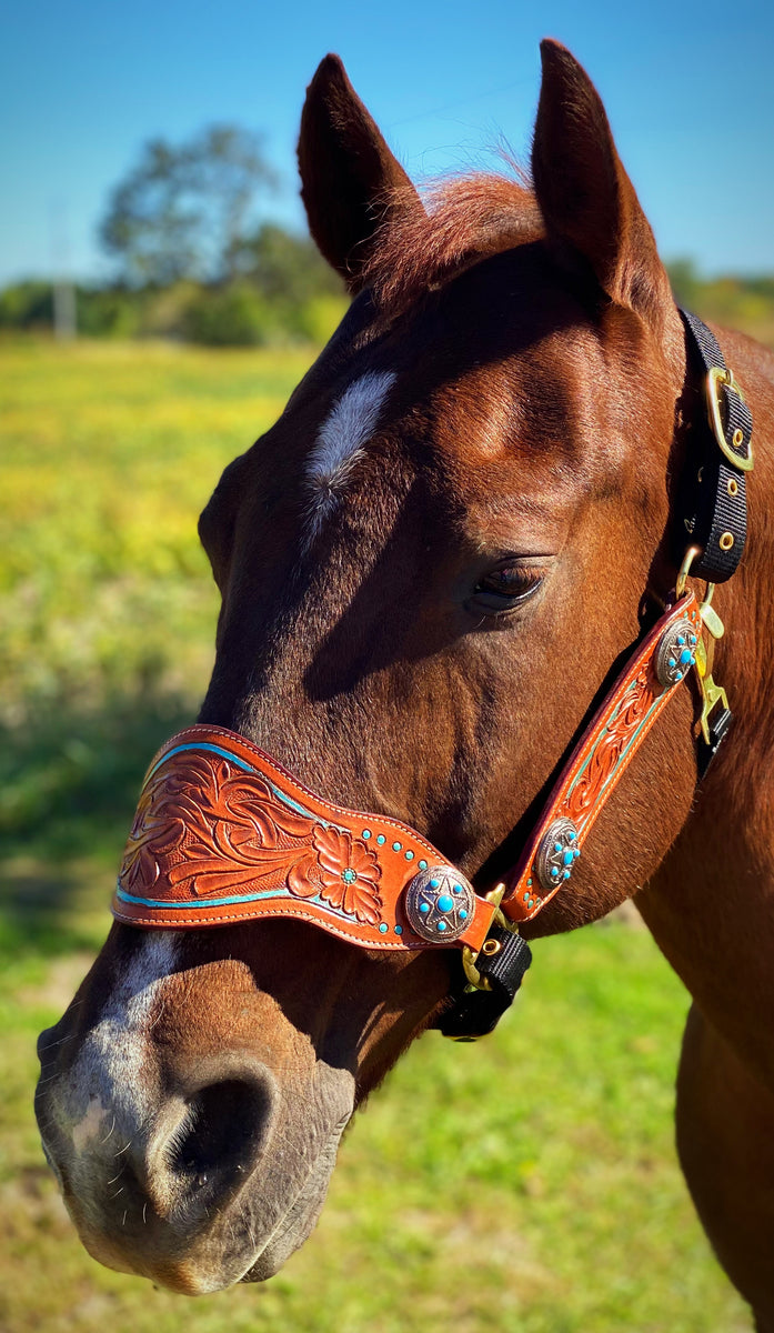 Tooled Bronc Halter – Twisted T Tack