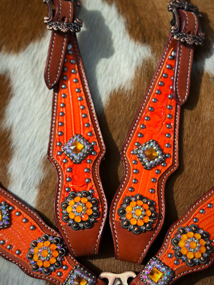 Orange Tack Set – Twisted T Tack